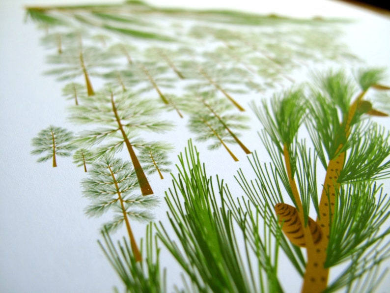 Minnesota State Tree Print 11x14 - Etsy