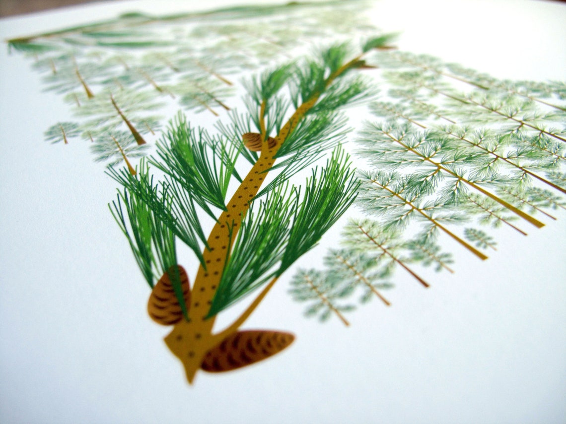 Minnesota State Tree Print 11x14 - Etsy