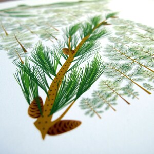 Minnesota State Tree Print 11x14 - Etsy