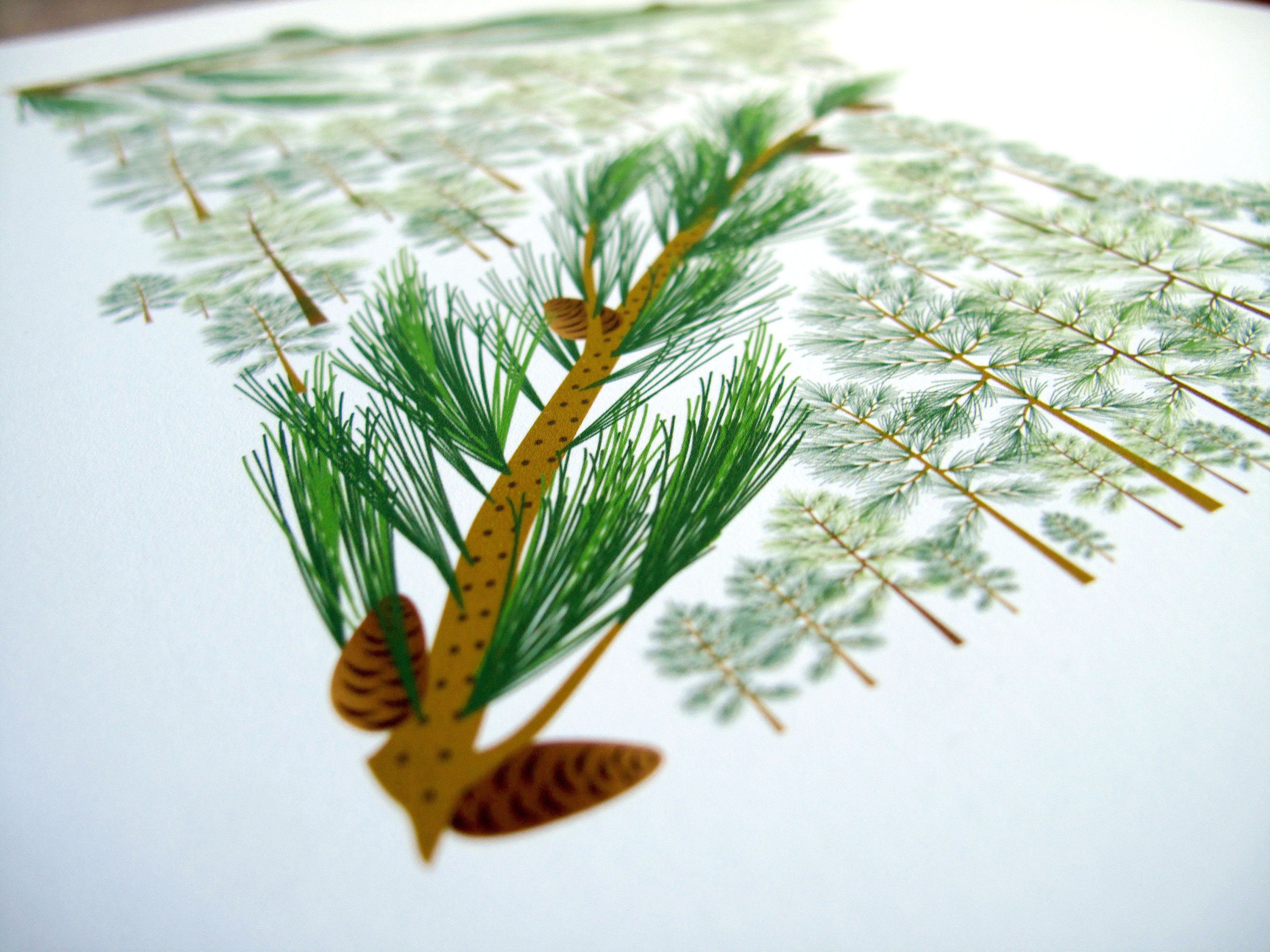 Minnesota State Tree Print 11x14 - Etsy