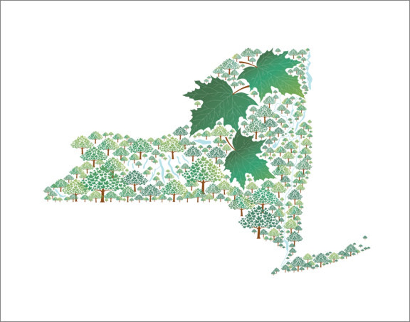 New York State Tree Print 11x14 - Etsy