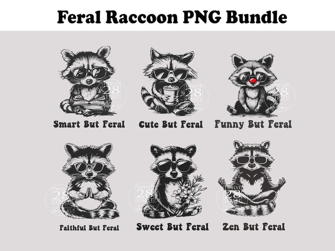 Feral Raccoon PNG Bundle, Sublimation Bundle, Png Funny Racoon, Cute ...