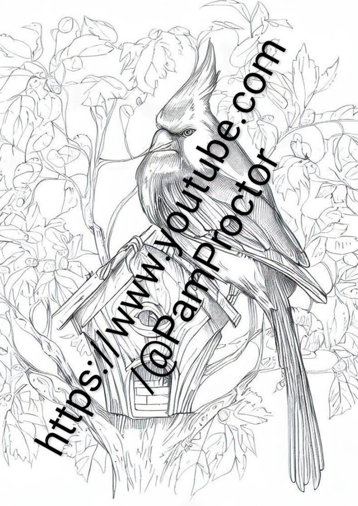 Printable Original Coloring Pages, Instant Digital Download / PDF, Bird ...