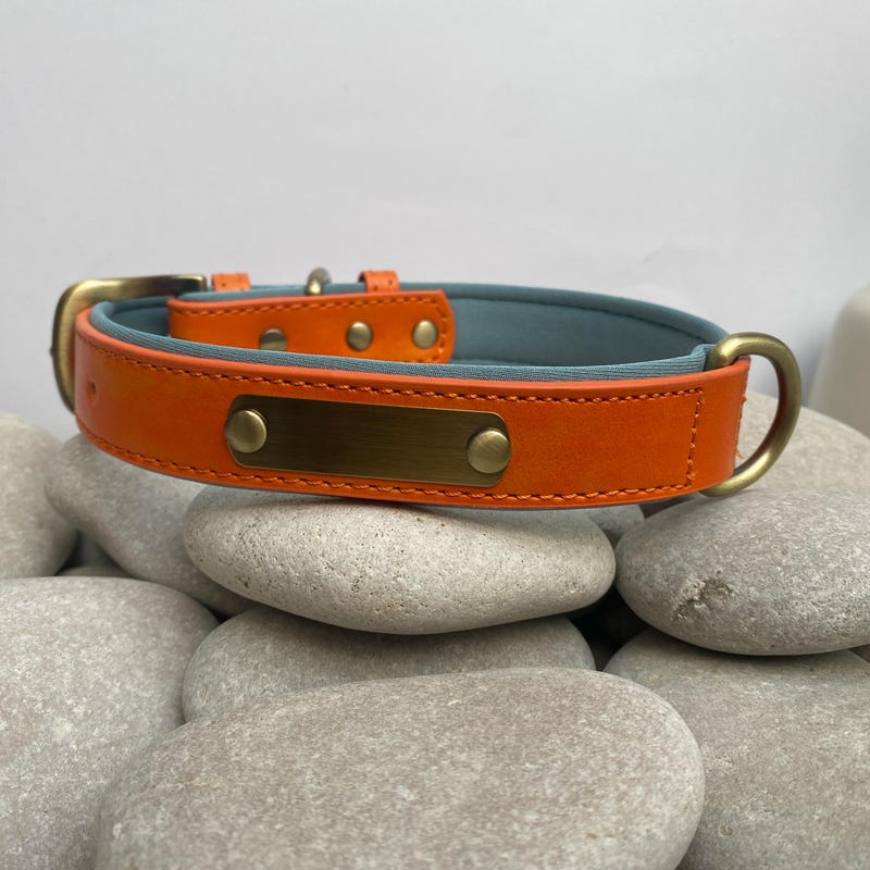 Dog Collar for Human Girl - Etsy UK