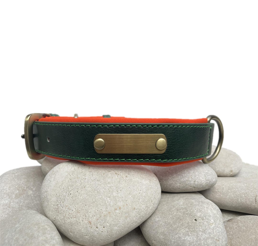 Personalised Premium Green Leather Dog Collars, Designed With ...