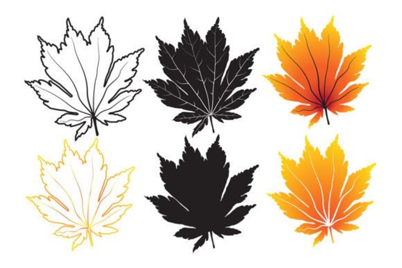 CANADIAN MAPLE LEAF Svg, Distressed Maple Leaf Svg, Maple Leaf Outline ...