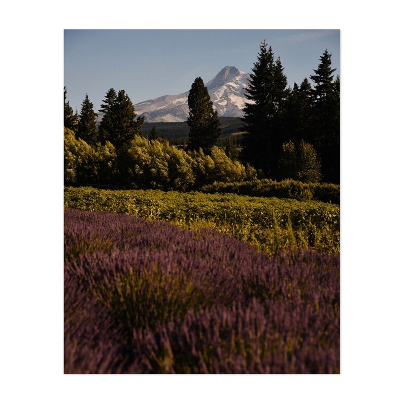 Oregon Print, Mountain Wall Art, Landscape Framed Art, Nature Home ...
