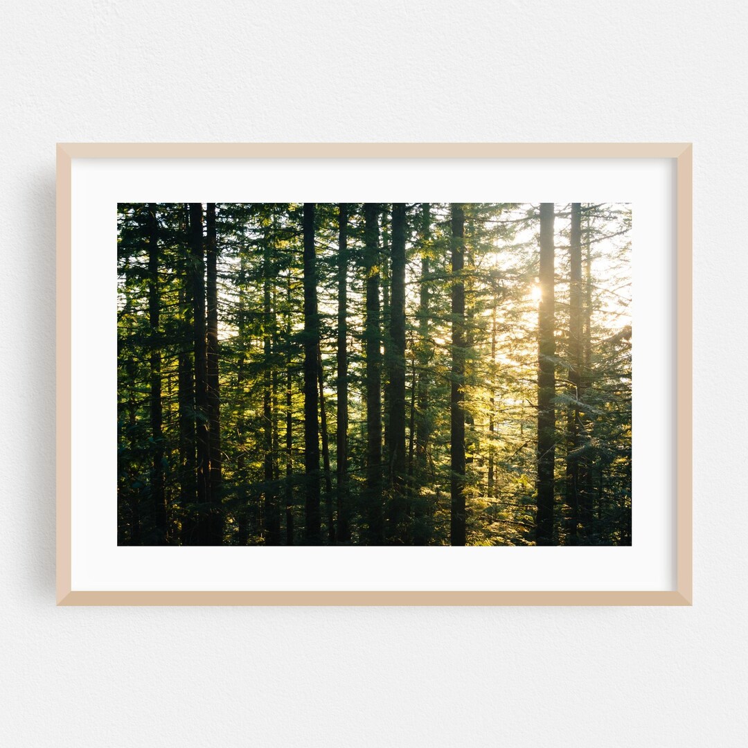 Oregon Print, Forest Wall Art, Nature Framed Art, Landscape Home Decor ...