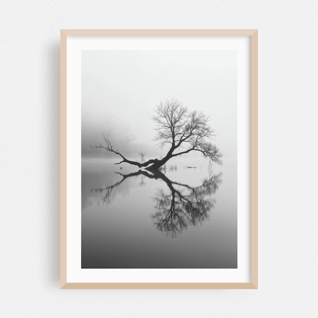 Black and White Print, Nature Wall Art, Minimalist Framed Art ...