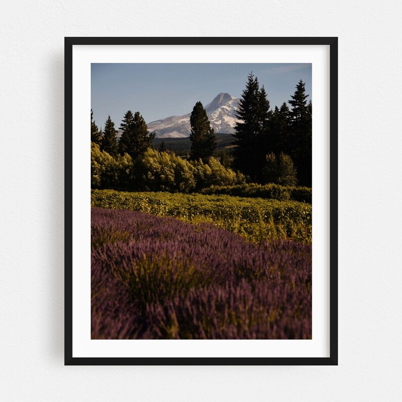 Oregon Print, Mountain Wall Art, Landscape Framed Art, Nature Home ...