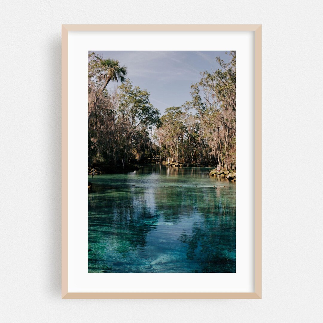 Crystal River Print, Florida Wall Art, Nature Framed Art, Tropical Home ...