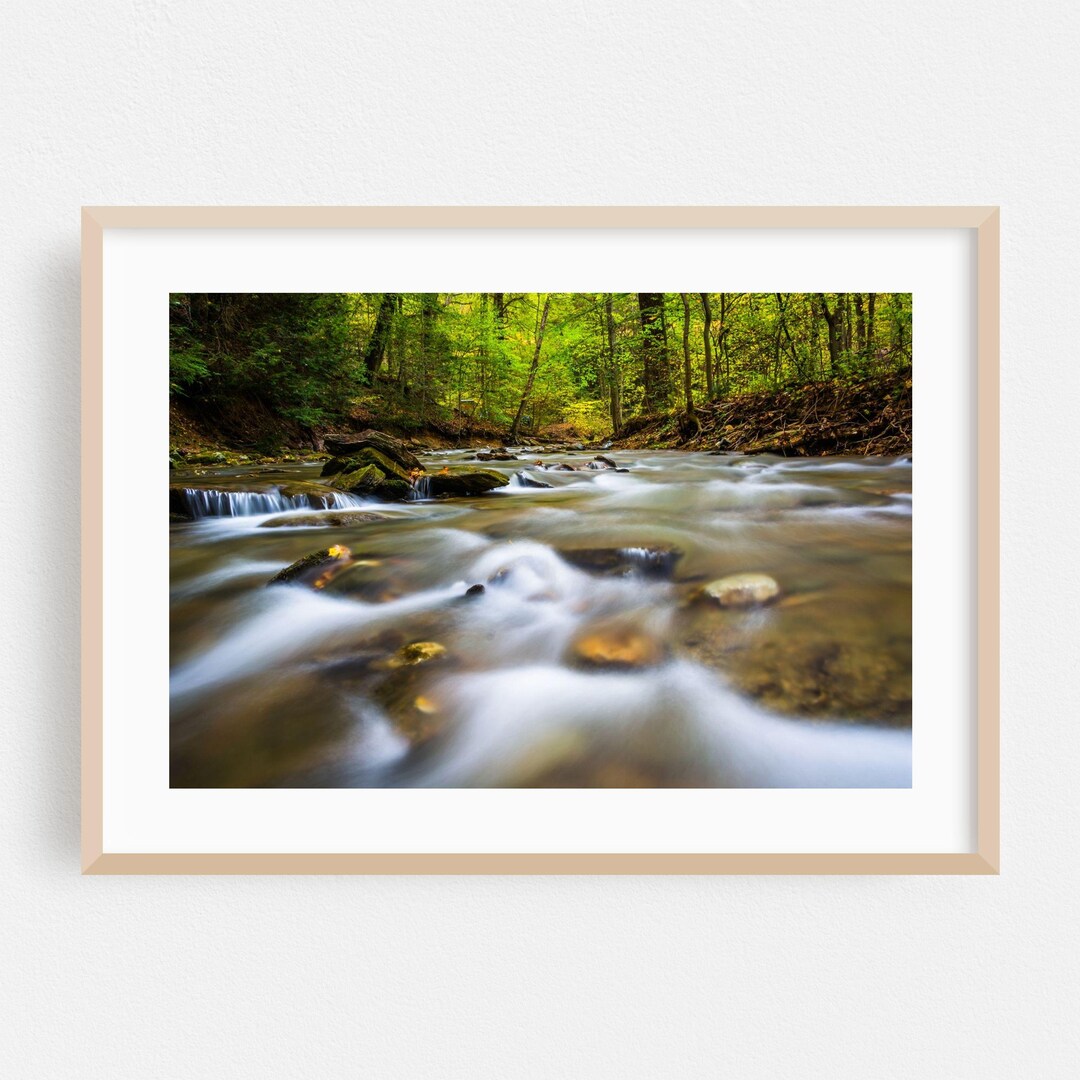 Lancaster Print, Pennsylvania Wall Art, Nature Framed Art, Forest Home ...