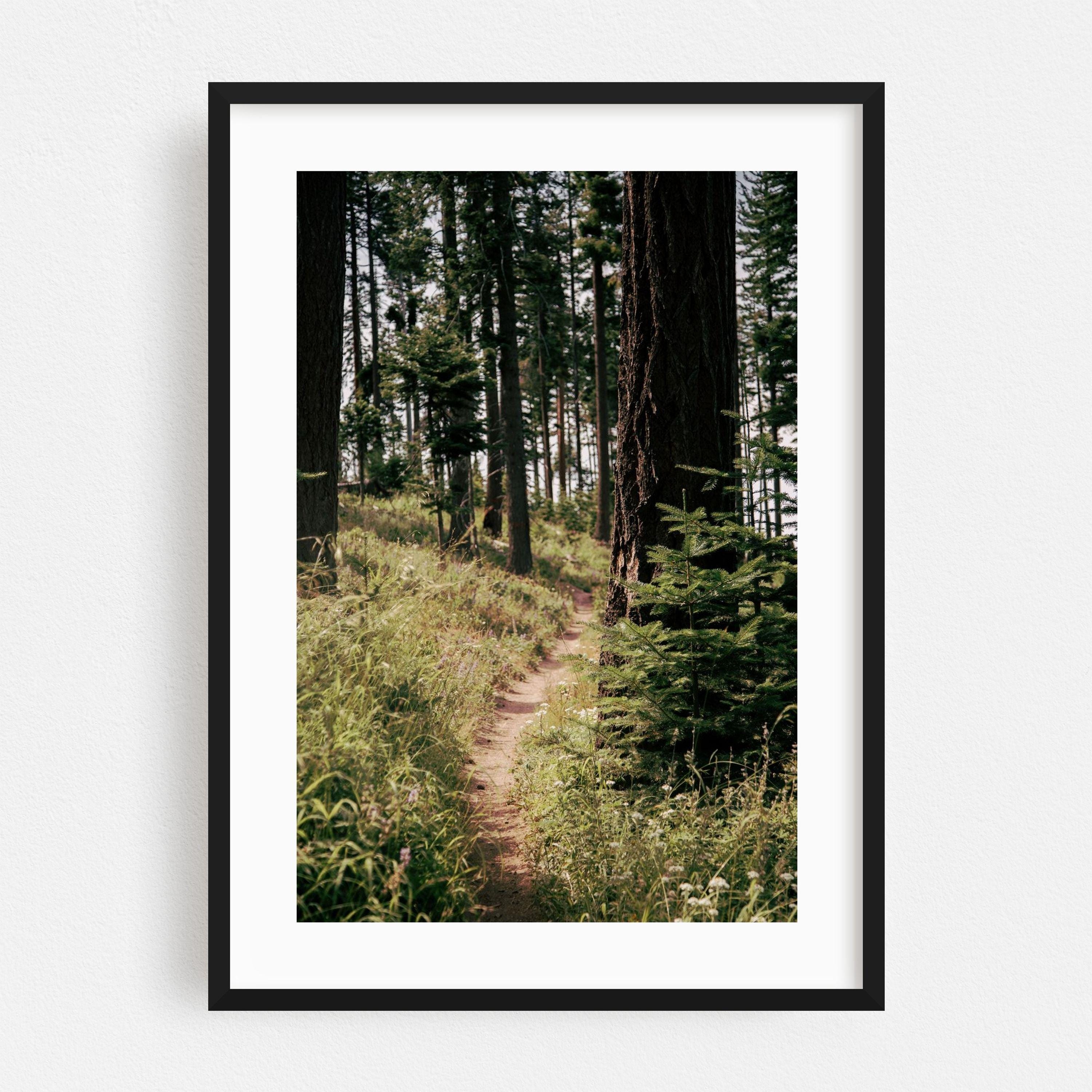 Oregon Print, Forest Wall Art, Nature Framed Art, Woodland Home Decor ...