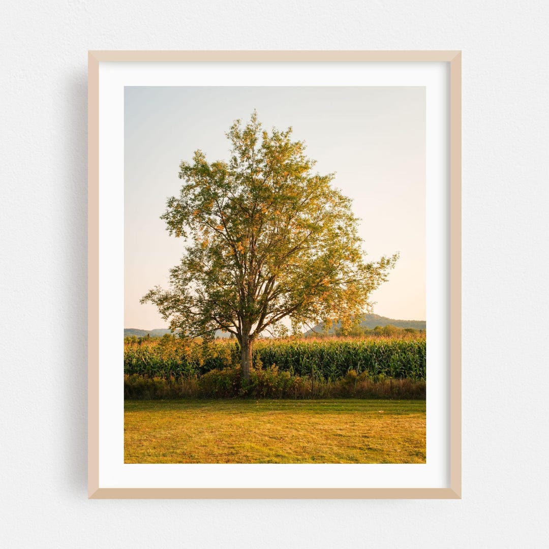 Irasburg Print, Vermont Wall Art, Nature Framed Art, Landscape Home ...