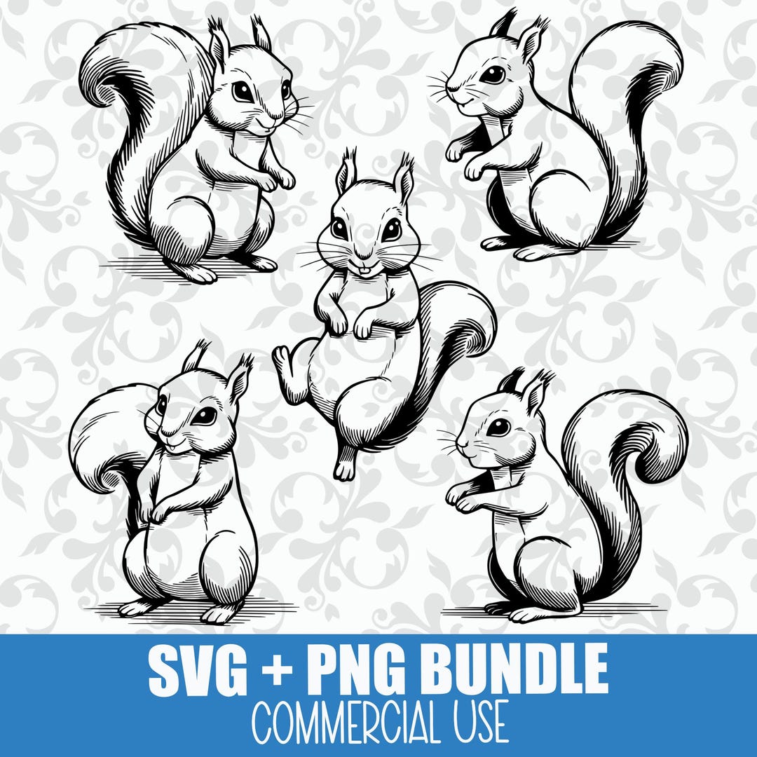 Cute Squirrel SVG & PNG Bundle: Woodland Animals, Squirrel Girl ...