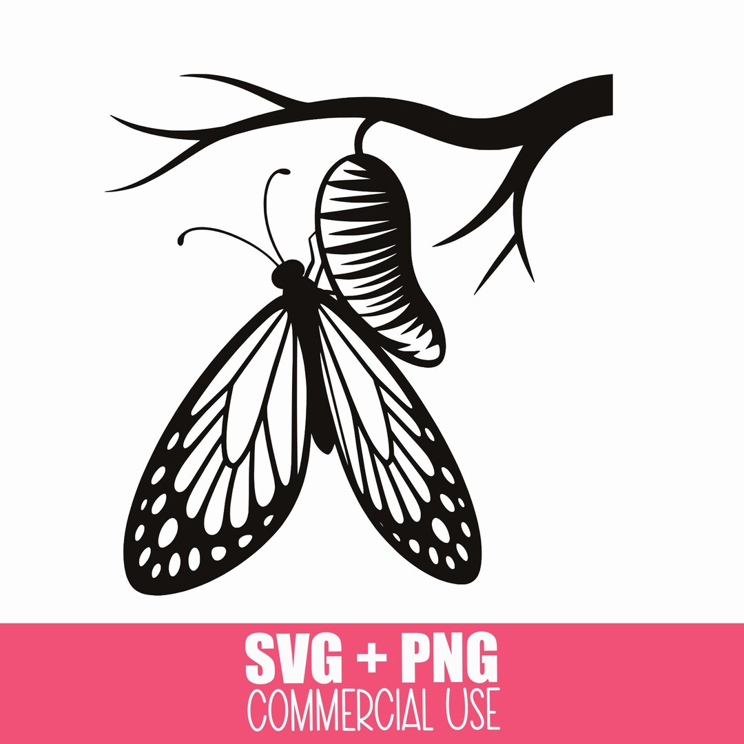 Butterfly Cocoon on Branch SVG, Transformation Nature Cut File for ...