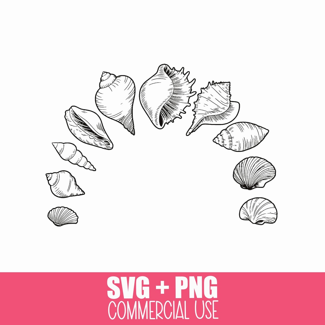 Seashell Collection SVG | Beach Shell Clipart for Cricut & Silhouette ...