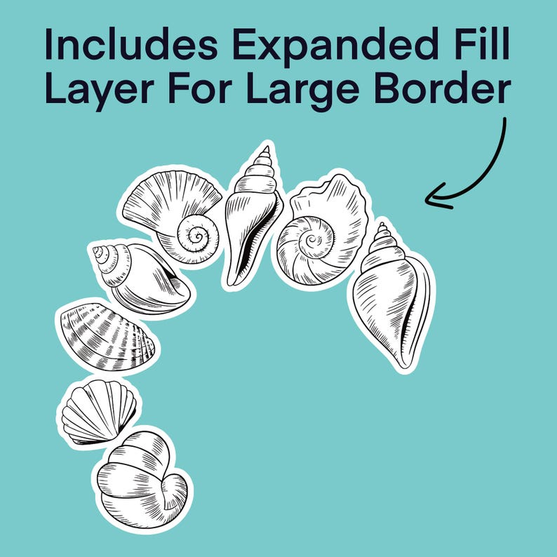 Detailed Seashell SVG Line Art Bundle | Intricate Ocean Shells Clipart ...