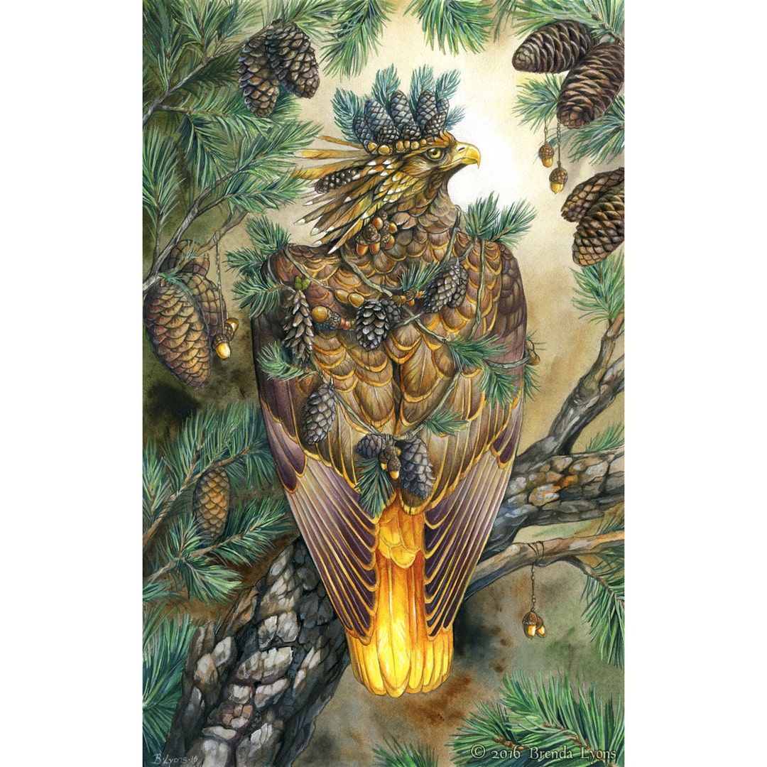 Der Schwarzwald - Fantasy Hawk in Pine Tree Print - Fantasy Bird With ...