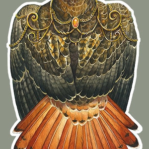 Vinyl Bird Stickers - 7 Designs to Choose From - Hawk Falcon Owl Raven ...