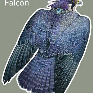 Vinyl Bird Stickers - 7 Designs to Choose From - Hawk Falcon Owl Raven ...