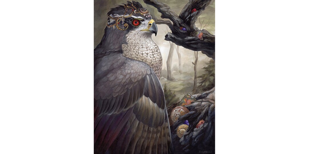 Spiral - Fantasy Hawk With Ammonite in Forest Goshawk Print - Etsy