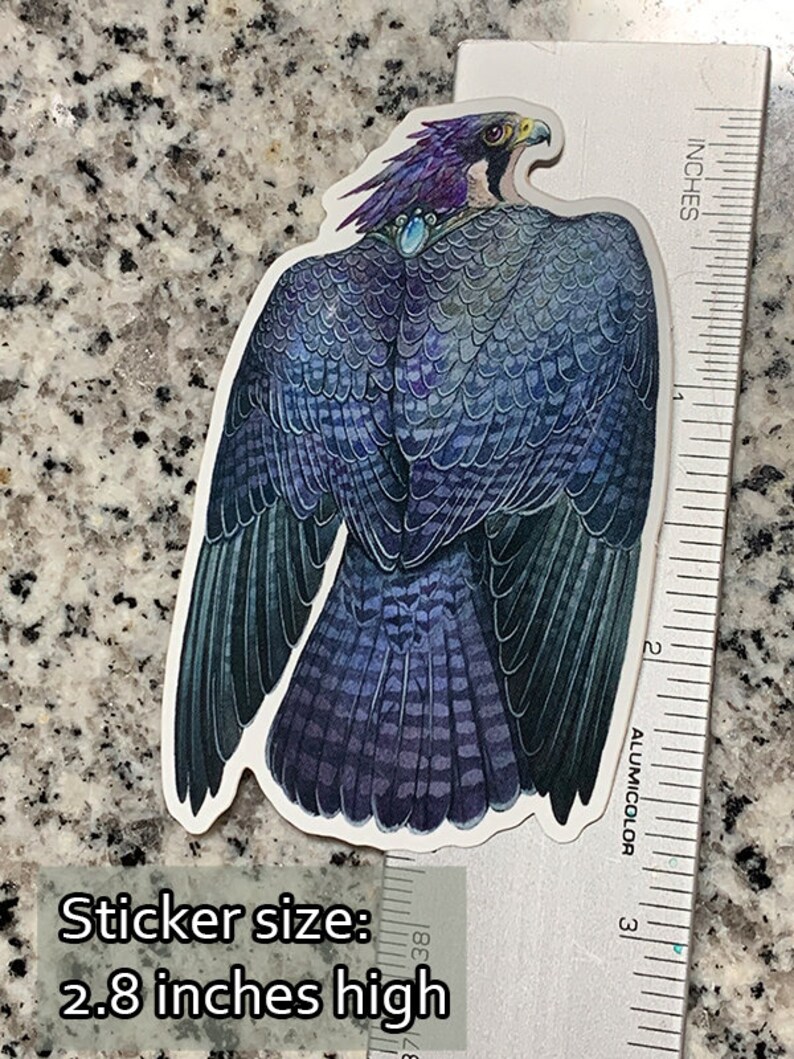 Vinyl Bird Stickers 7 Designs to Choose From Hawk Falcon | Etsy