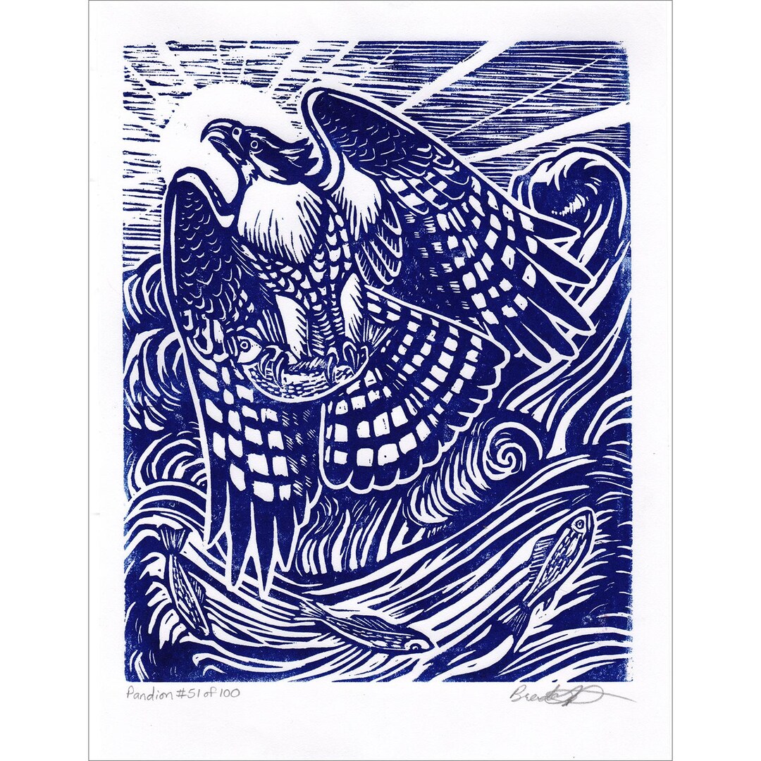 Pandion - Osprey Block Print - Original 8X10 Carved Block Print Bird ...