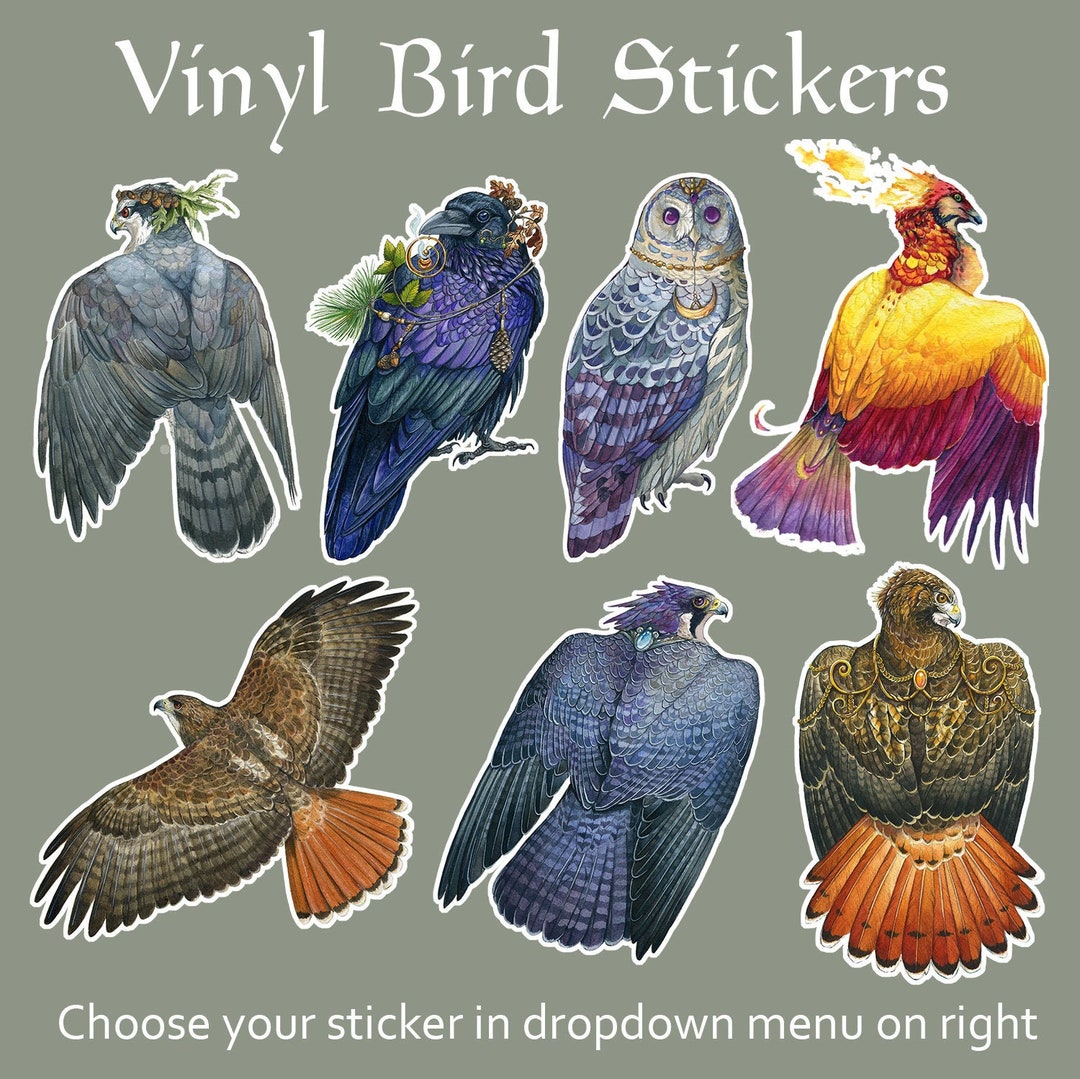 Vinyl Bird Stickers 7 Designs to Choose From Hawk Falcon Owl Raven ...