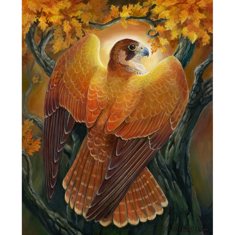 windfalcon - Etsy