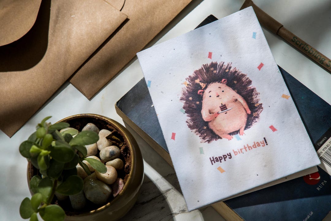 Birthday Greeting Plantable Seed Paper Cards: Handmade Wildflower ...