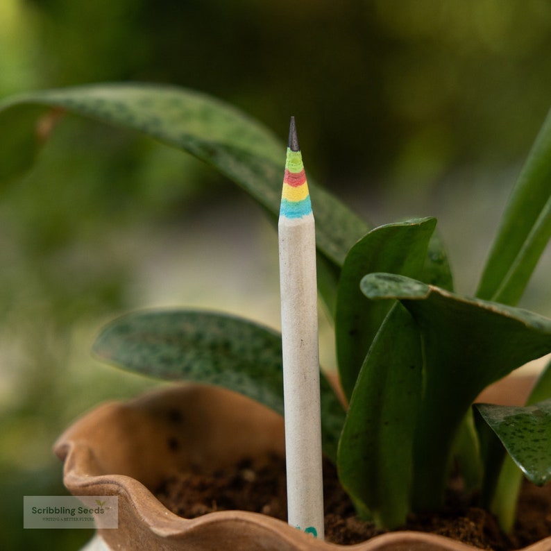 Plantable Seed Pencils: Handmade Recycled Newspaper Pencils (pack of 5 ...