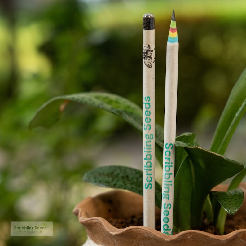 Plantable Seed Pencils: Handmade Recycled Newspaper Pencils (pack of 5 ...