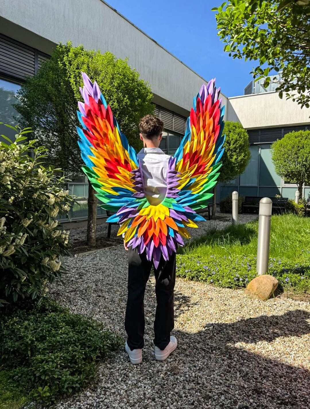 Multicolored Wings, Color Angel Wings, Butterfly Wings, Cosplay Phoenix ...