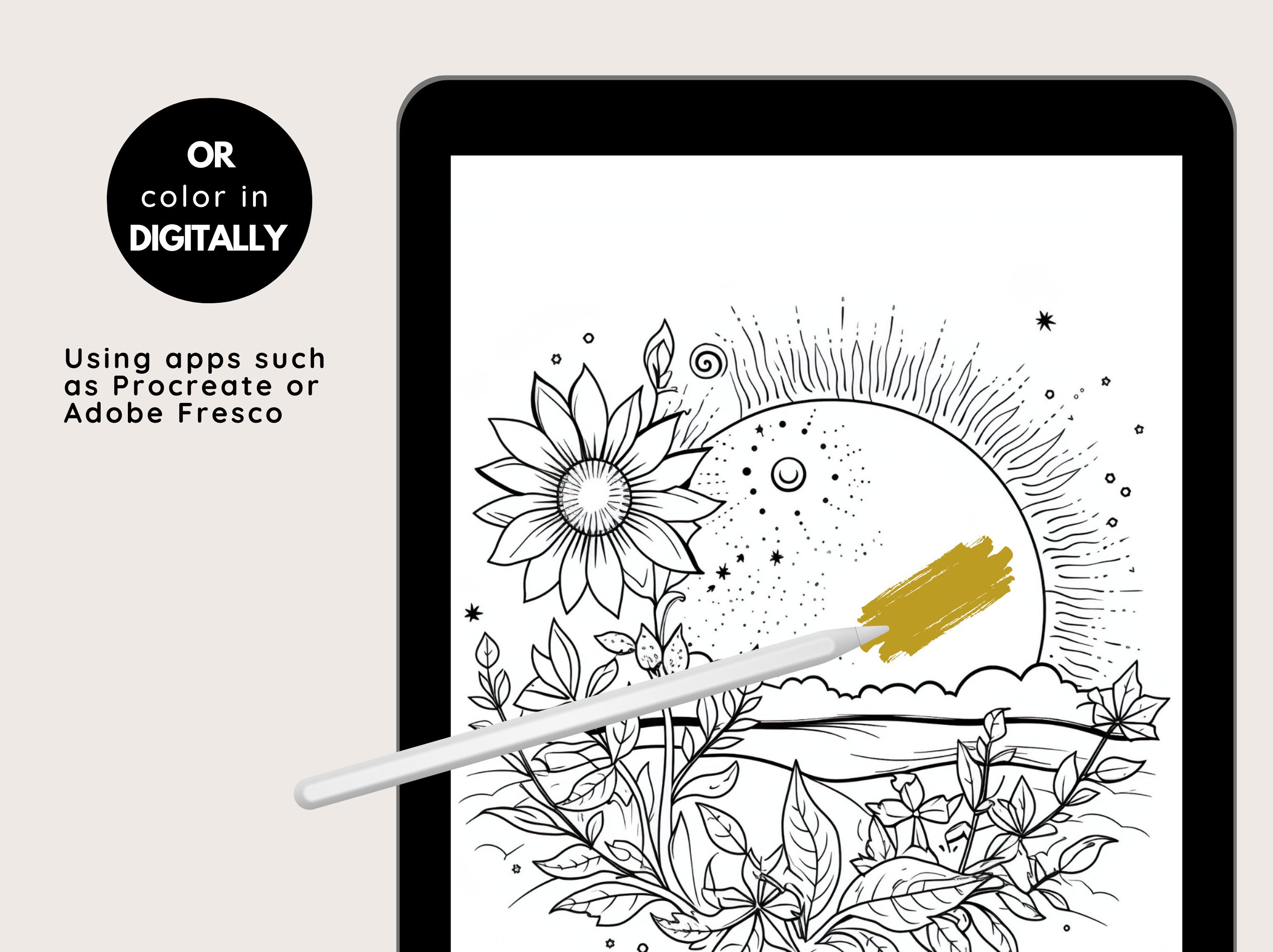 Summer Solstice Coloring Page, Mindfulness Adult Coloring Book, Floral ...