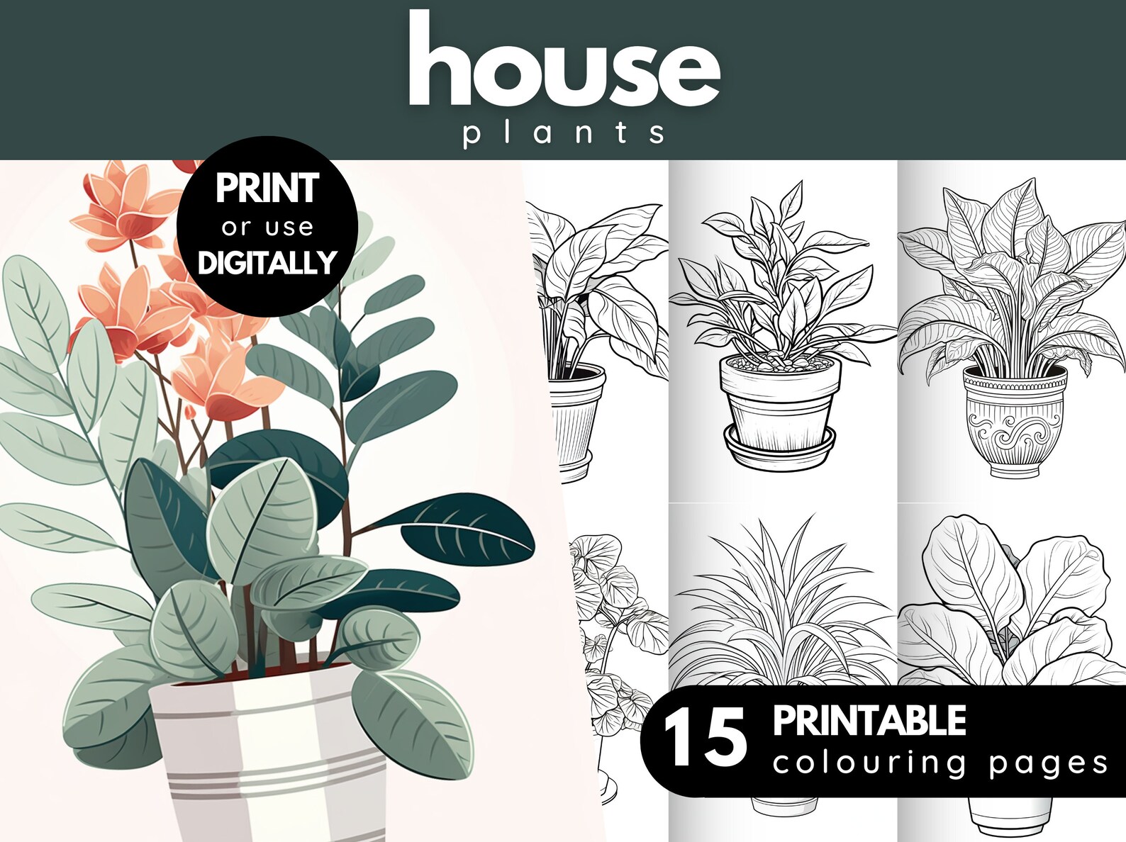 Flower and Plants Coloring Book, Plants Coloring Book for Gardeners ...