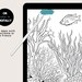 Coral Reef Coloring Page Adult Colouring Book, Beach Holiday Coloring ...