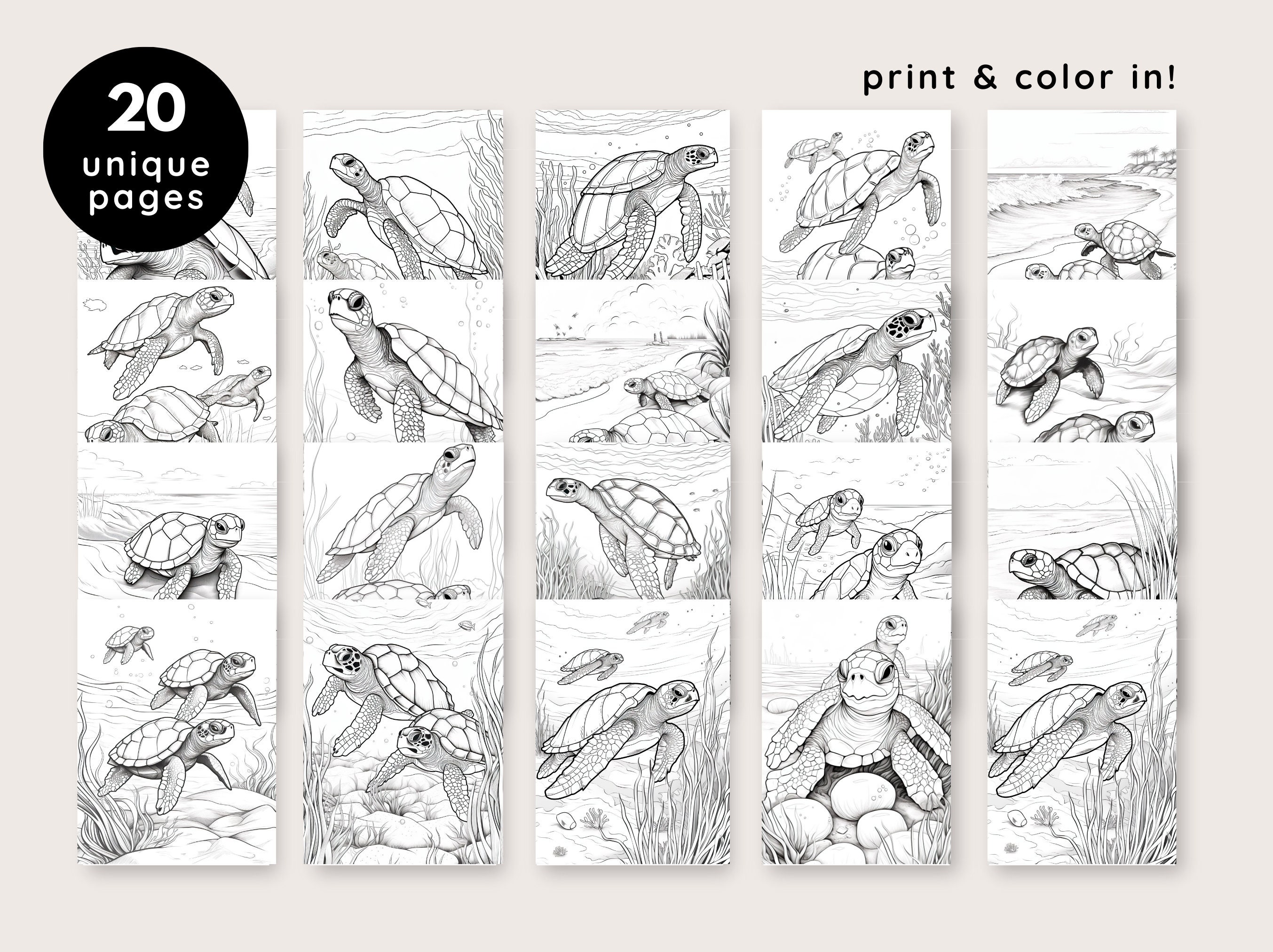 Sea Turtles Coloring Pages Under the Sea Colouring Book, Sea Life ...