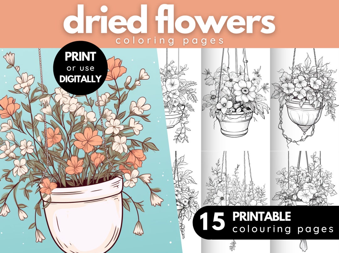Boho Plant Coloring, Dried Flowers Coloring Book, Hanging Plants ...