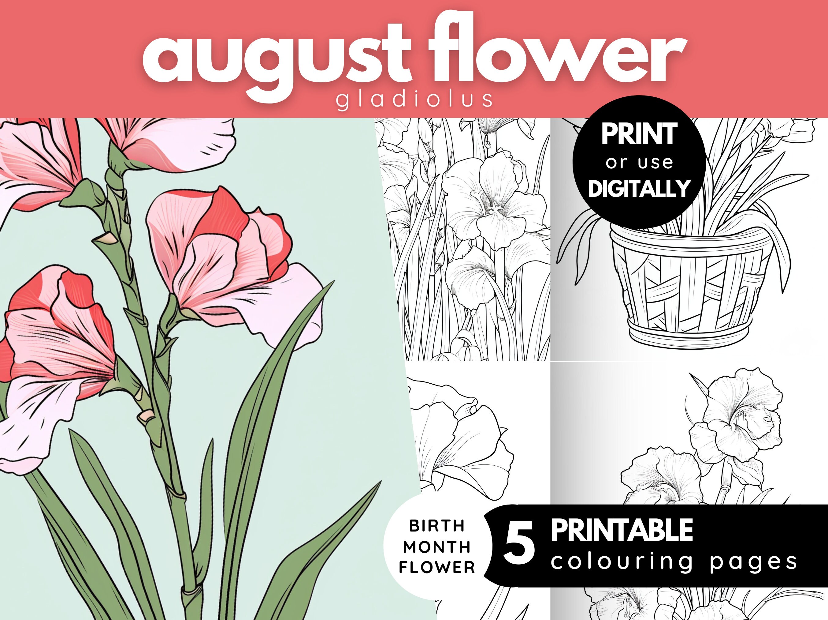 Birth Flower Coloring, August Birthday Coloring Pages, Gladiolus ...