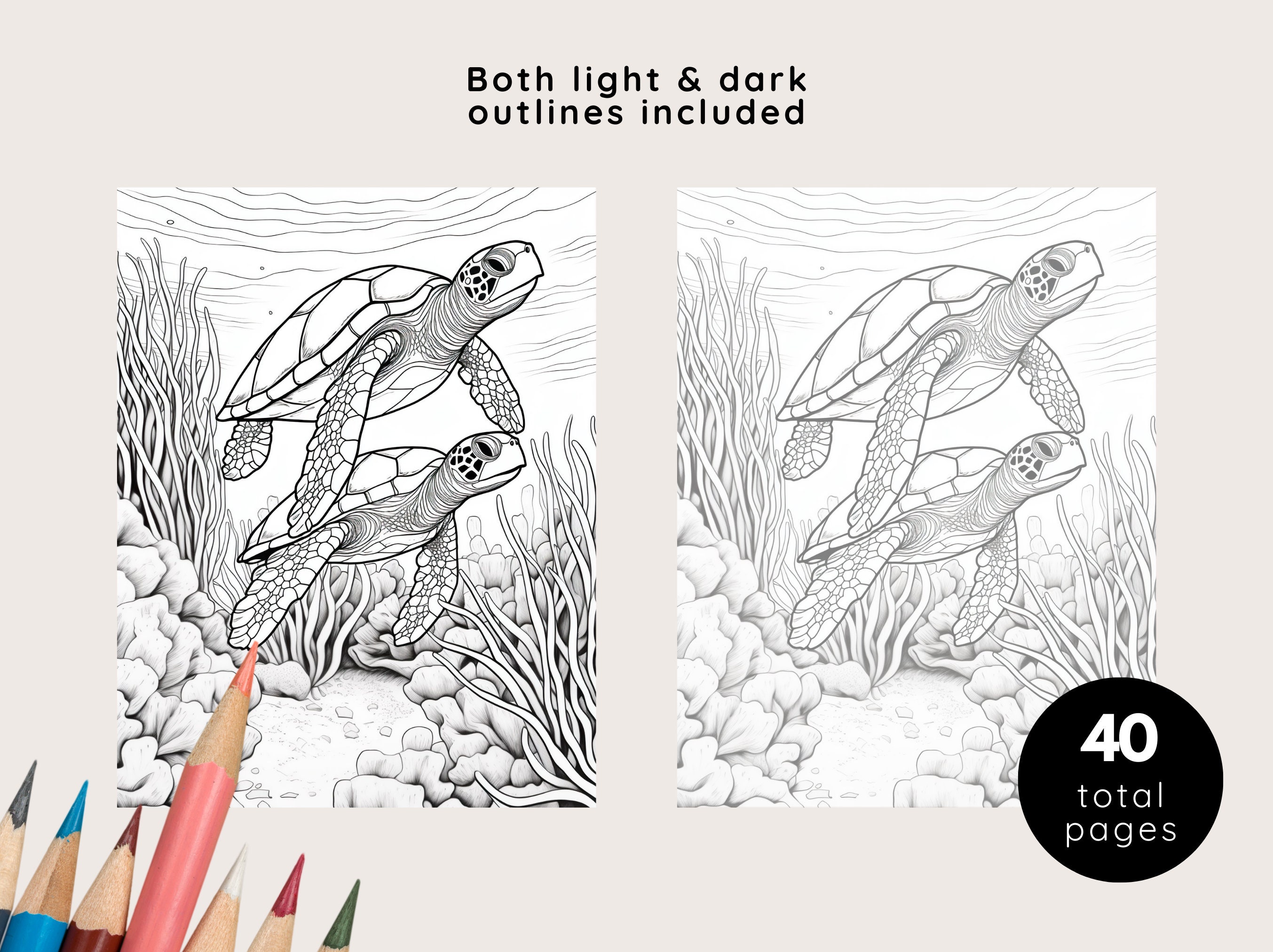 Sea Turtles Coloring Pages Under the Sea Colouring Book, Sea Life ...