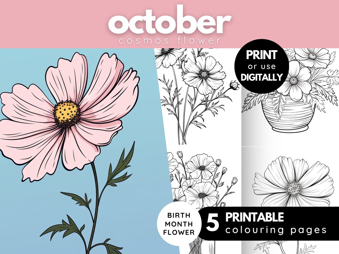 October Birth Flower Coloring Pages, Cosmos Coloring Book, Autumn ...