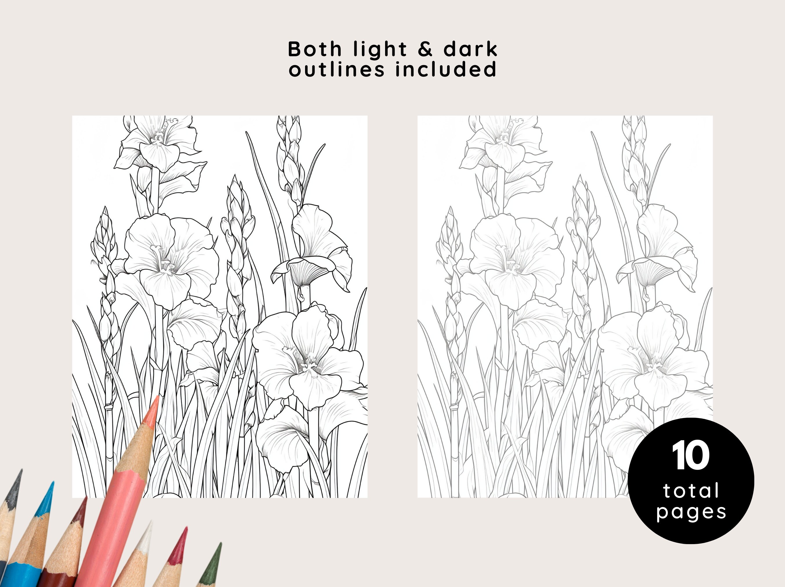 Birth Flower Coloring, August Birthday Coloring Pages, Gladiolus ...