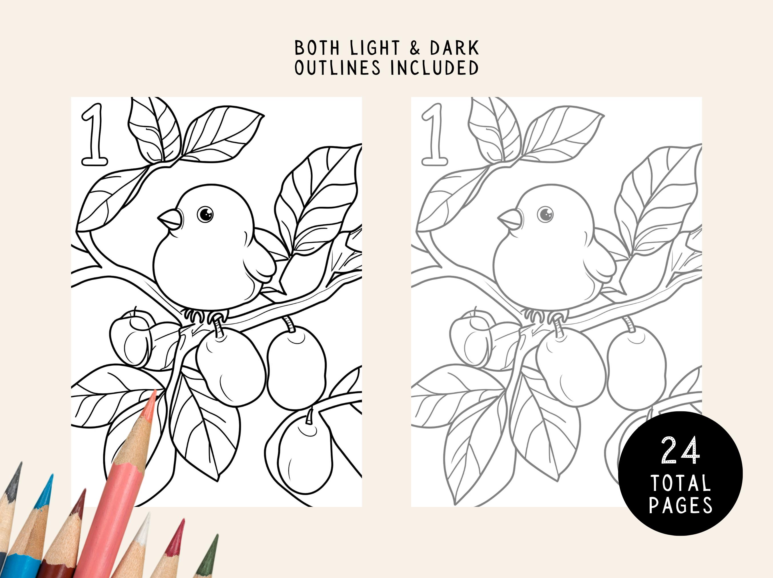 12 Days of Christmas Coloring Book, Printable Winter Coloring Pages for ...