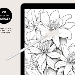 June Flower Coloring Pages, Printable Spring Flower Colouring Pages ...