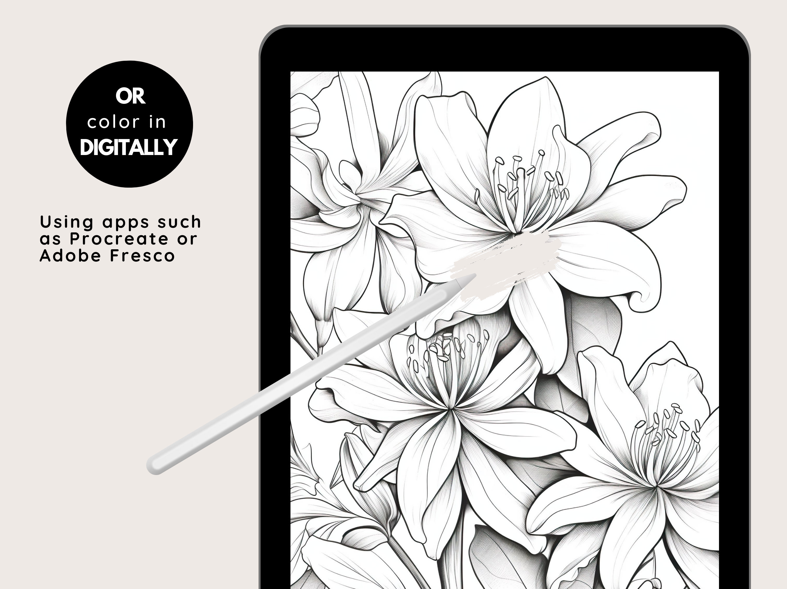 June Flower Coloring Pages, Printable Spring Flower Colouring Pages ...