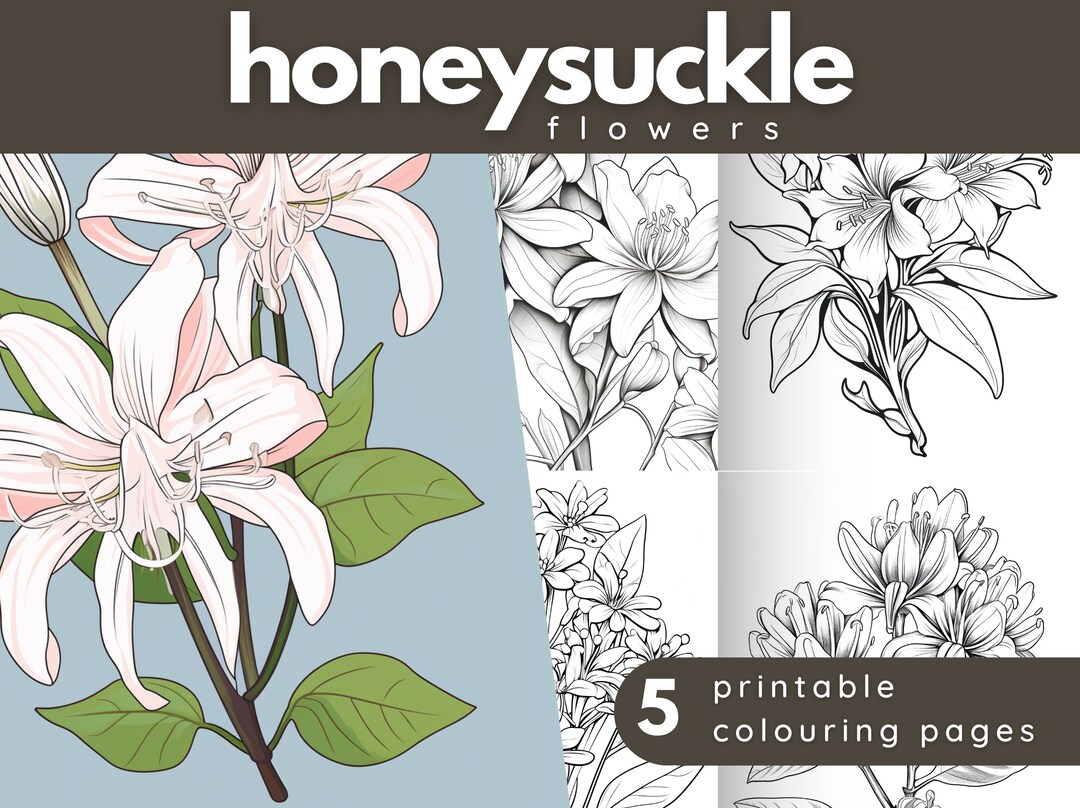 June Flower Coloring Pages, Printable Spring Flower Colouring Pages ...