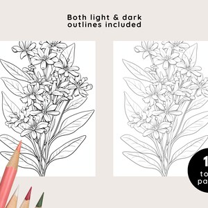 June Flower Coloring Pages, Printable Spring Flower Colouring Pages ...