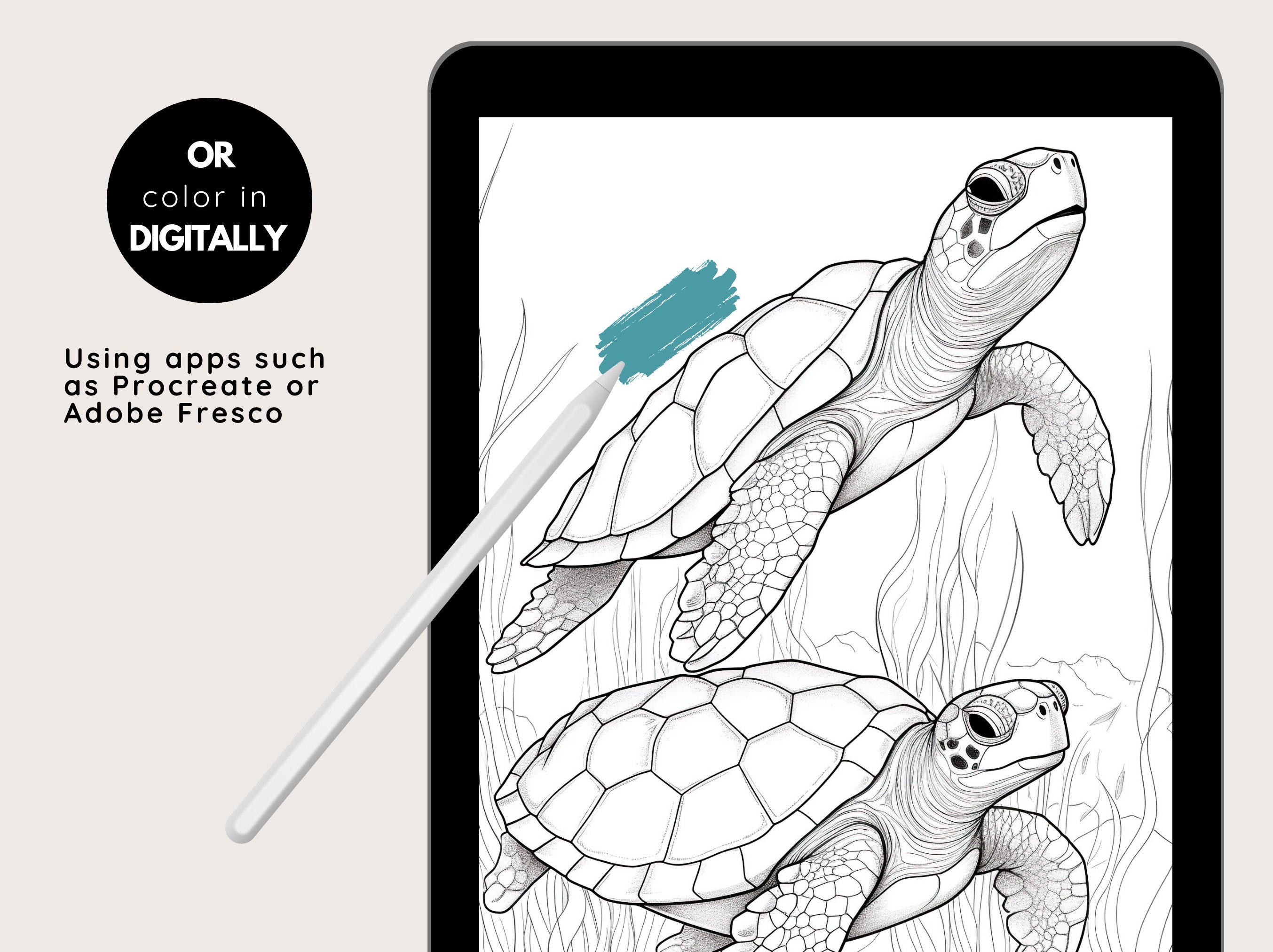 Sea Turtles Coloring Pages Under the Sea Colouring Book, Sea Life ...