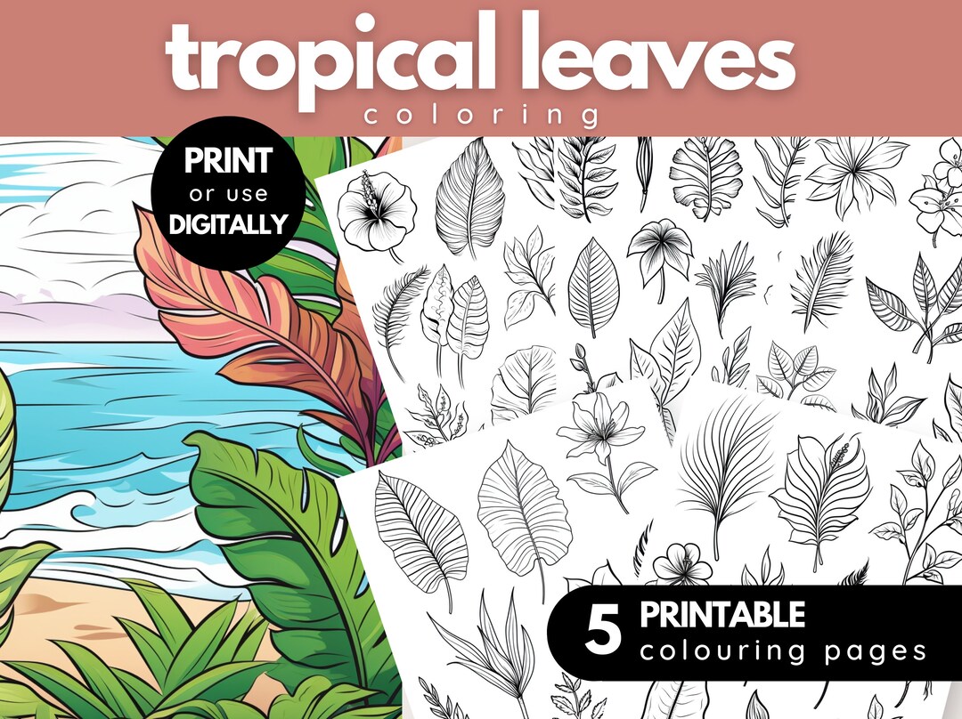 Tropical Flower Coloring Page, Tropical Leaves Coloring Pages, Adults ...